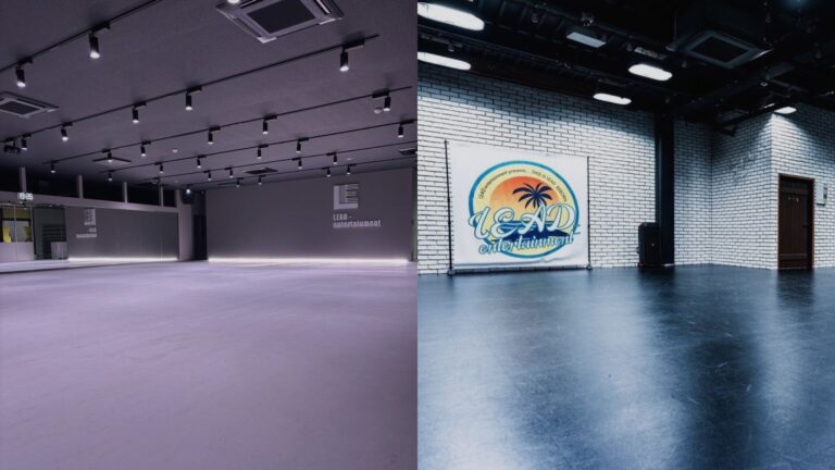 お問い合わせ – LEAD entertainment